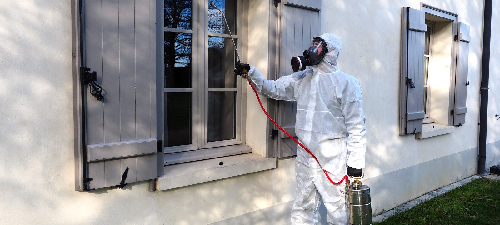 Comment nettoyer après une infestation de rongeurs